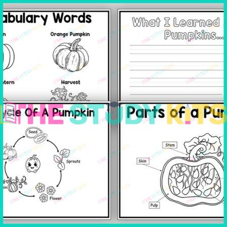 All About Pumpkins Worksheets- Fun Educational Activities - The Study Kits