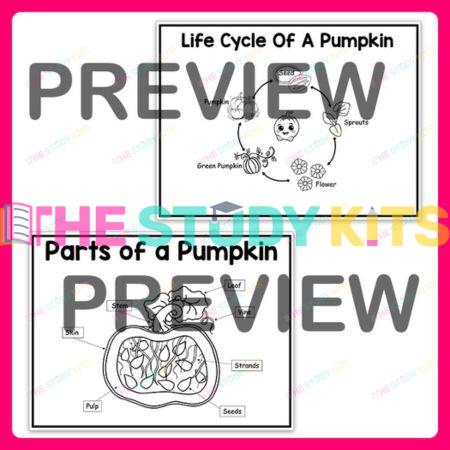 All About Pumpkins Worksheets- Fun Educational Activities - The Study Kits