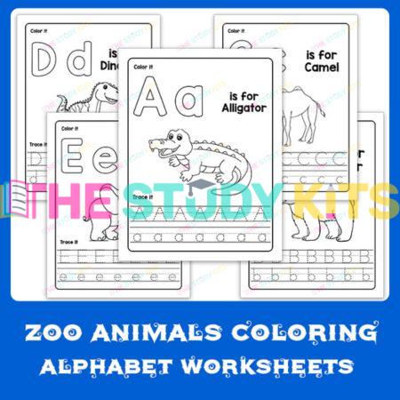 Alphabet ABC Order- Reading and Filling in Missing Letters - The Study Kits