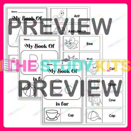 Flip Books for Teaching Alphabet and Sounds - The Study Kits