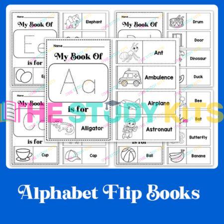 Flip Books for Teaching Alphabet and Sounds - The Study Kits
