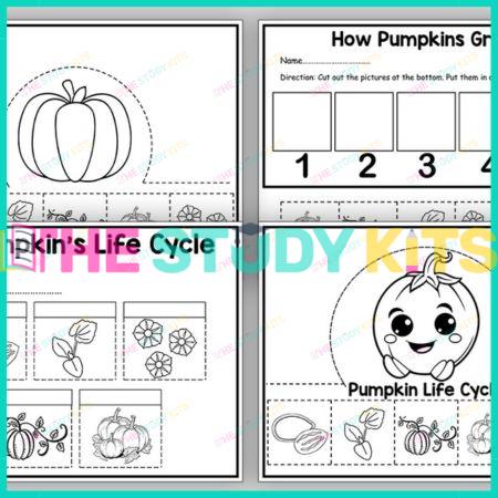 Pumpkin Life Cycle Fun Learning Activities - The Study Kits