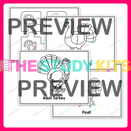 Fall and Thanksgiving Science with Turkey Life Cycle - The Study Kits