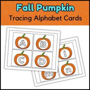 The Study Kits - Resources for Every Classroom Journey