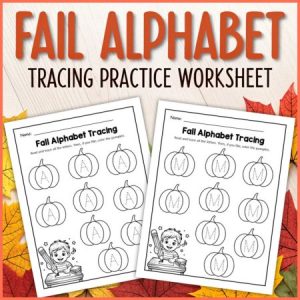 The Study Kits - Resources for Every Classroom Journey